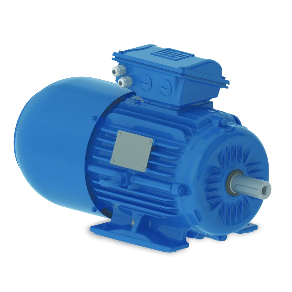 W22 Mining Motors